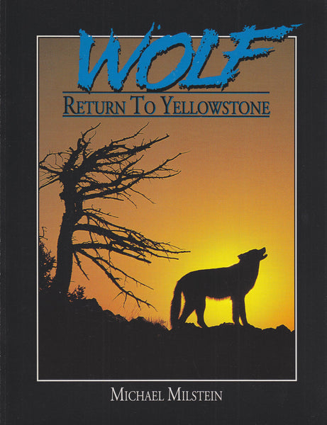 Wolf: Return to Yellowstone Michael Milstein | Wide World Maps & MORE!